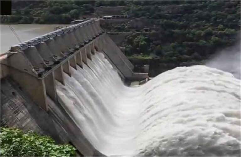 Rising Risk for Punjabis as Water Released from Bhakra Dam